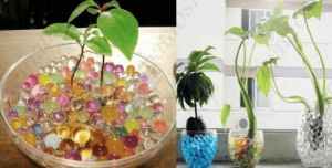 Bolas coloridas para decorar! 21 exemplos para deixar sua casa divertida